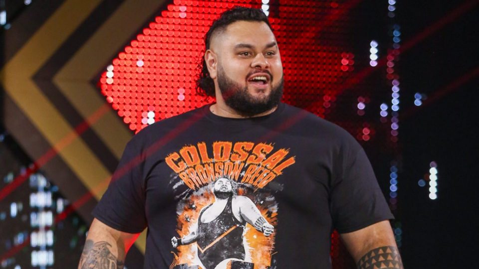 Bronson Reed em conversações com várias empresas