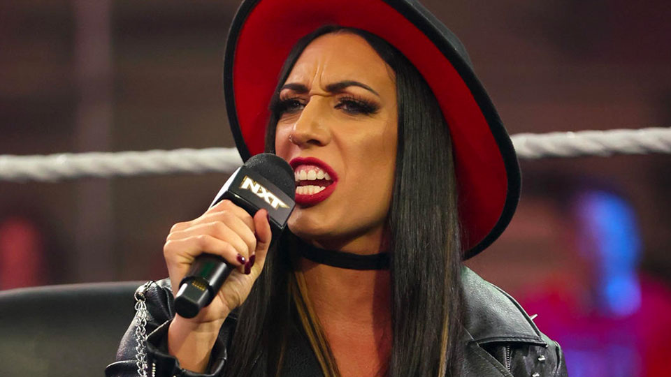 Novos combates e segmentos anunciados para o NXT