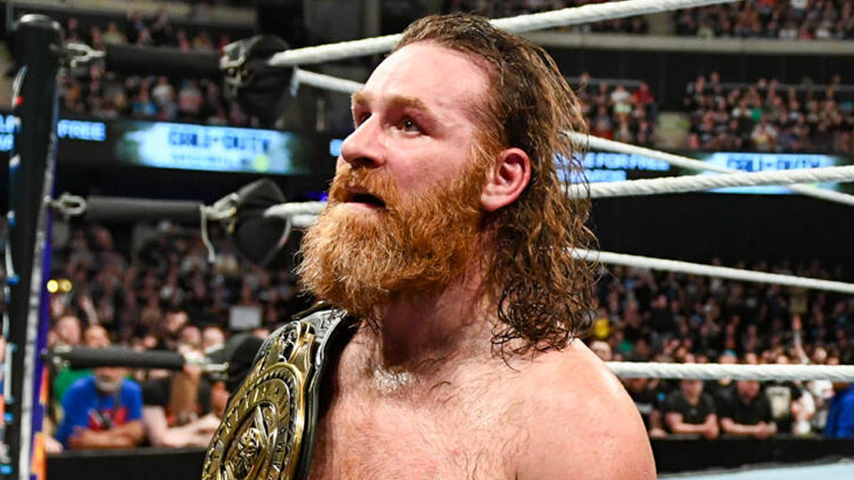 Planos para o Intercontinental Title Match no SummerSlam